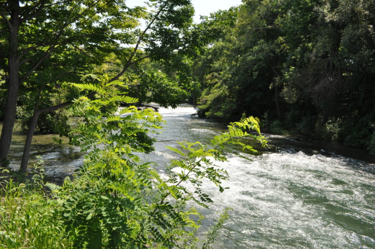 John Schwarz: Appreciating Simplicity